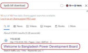 পল্লী বিদ্যুৎ বিল ডাউনলোড করার নিয়ম 2025 (BPDB Bill Download) - eShebabd